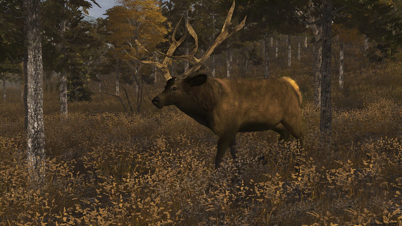 Elk Simulator | PS4 Price, Deals in CO | psprices.com