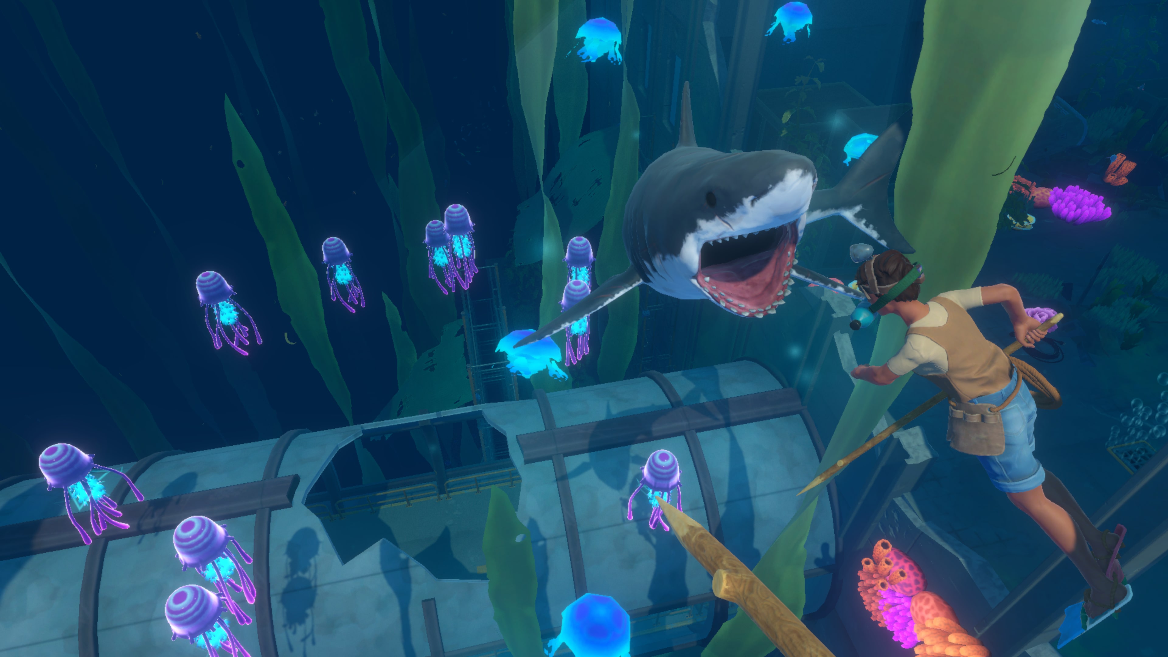 Playstation store raft store