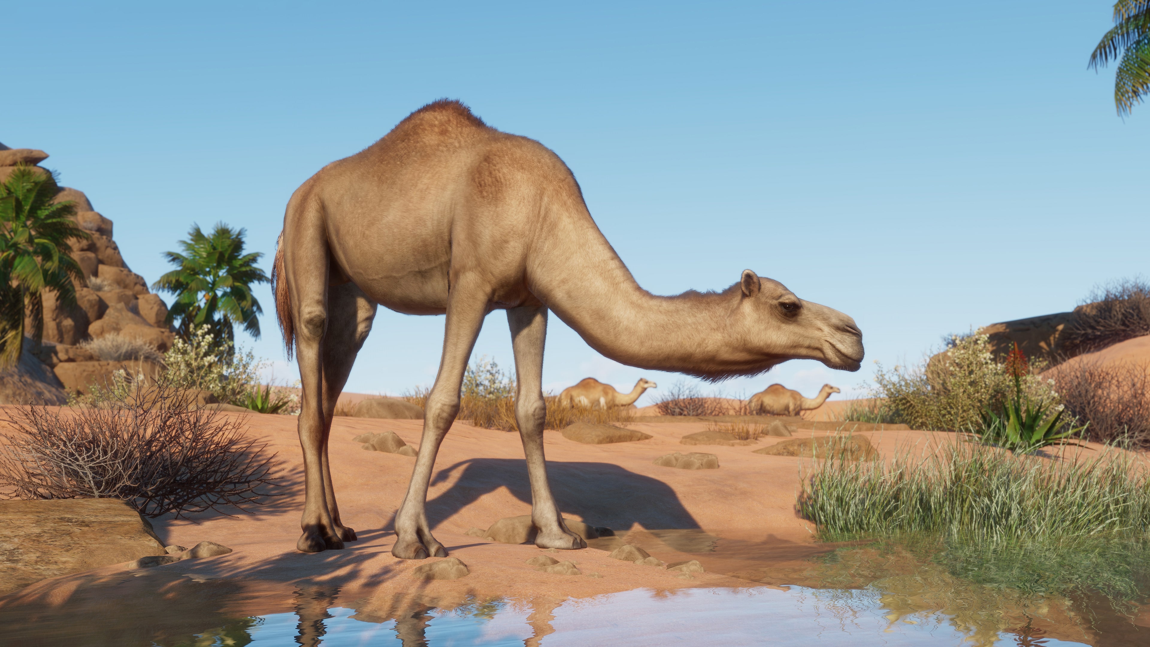 Planet Zoo: Arid Animal Pack | Deku Deals Planet Zoo: Arid Animal Pack | Deku Deals