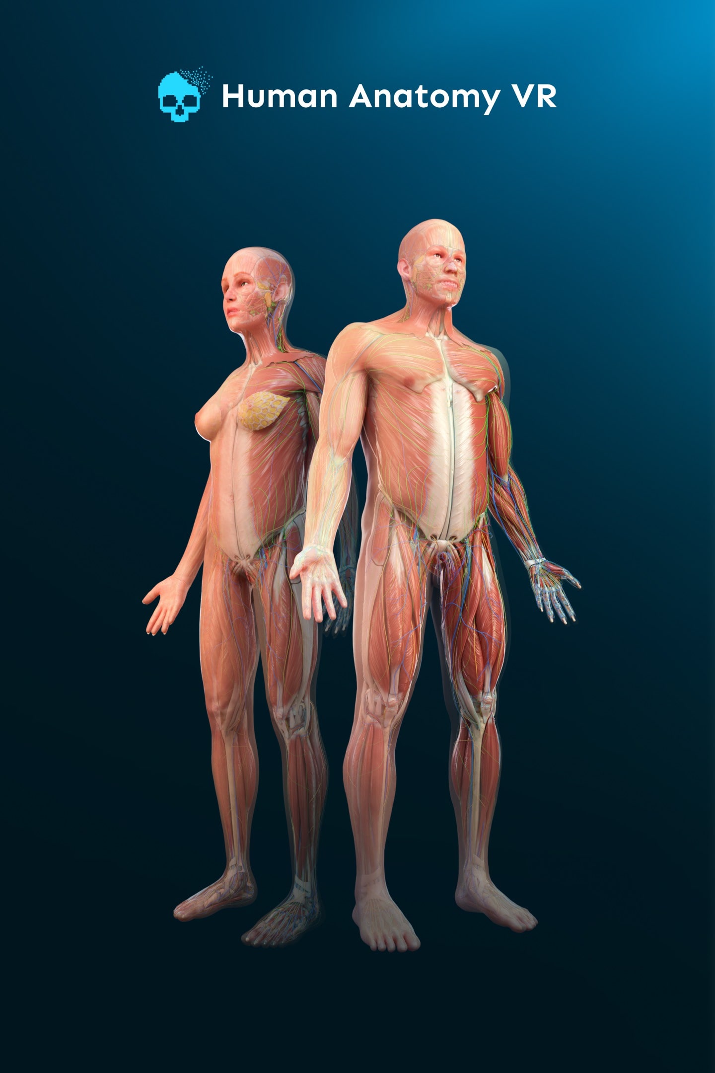 Human anatomy vr ps4 review store